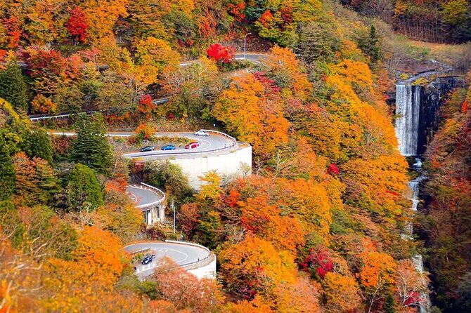 Nikko Private Tour With English Speaking Guide - Final Thoughts