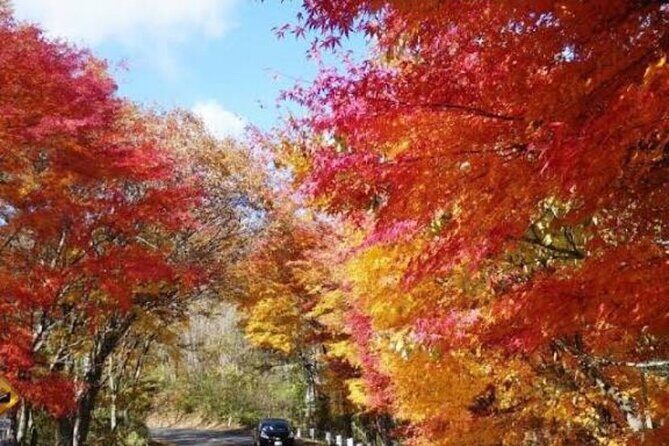 Nikko Private Trip from Tokyo with a Local English Guide - Key Points