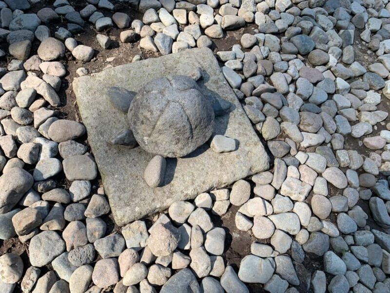 Nikko: Private Walking Tour of World Heritage Sites - Key Points