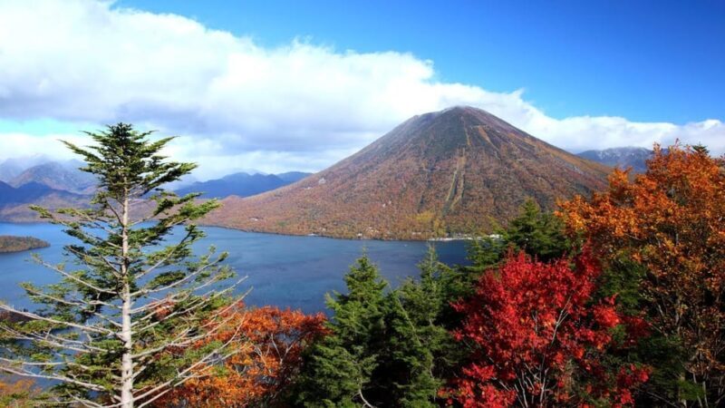 Nikko: Private Walking Tour with Local Guide - Ensuring a Smooth Experience