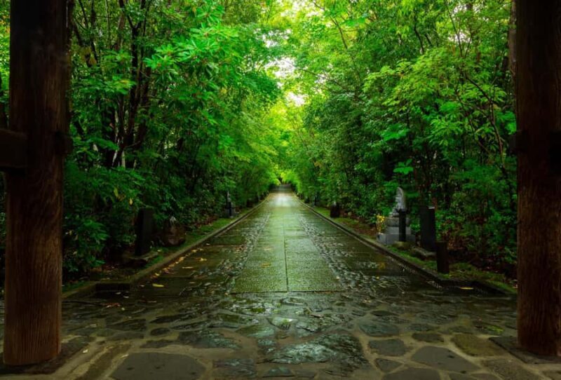 Nikko: Sacred Mountains, Shoguns, & Japans Spiritual Heart - Key Points