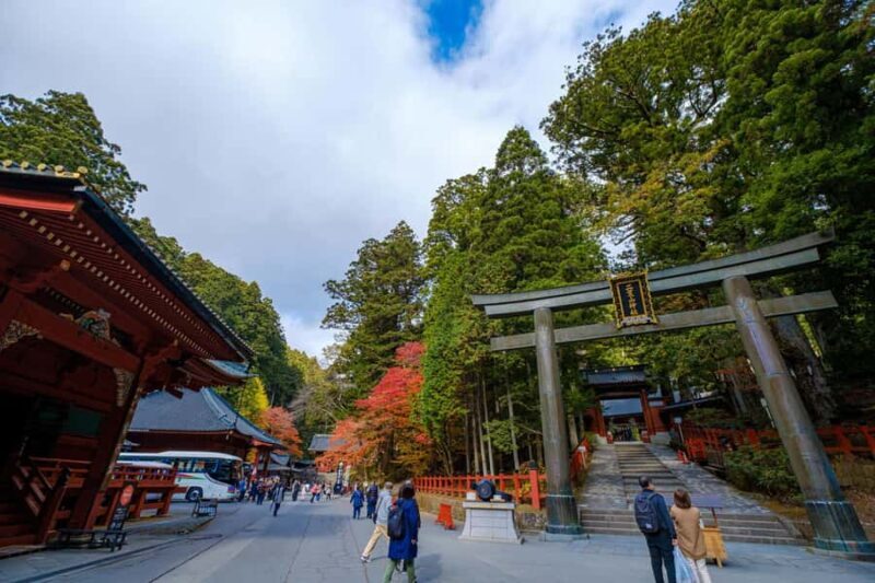 Nikko: Sacred Mountains, Shoguns, & Japans Spiritual Heart - Who Will Love This Tour?