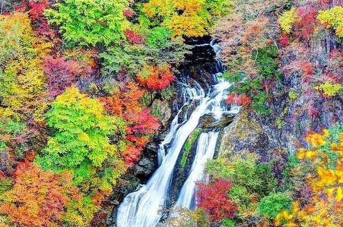 Nikko: Shrine, Waterfall and Autumn Leaves by Car (Private Tour) - FAQ