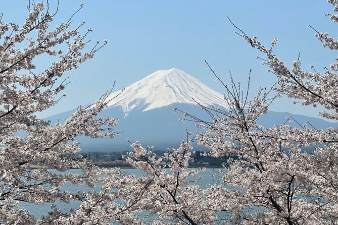 Nikko Sightseeing 10 Hours Private Chartered Car Tour from Tokyo - Final Thoughts: Is It Worth It?