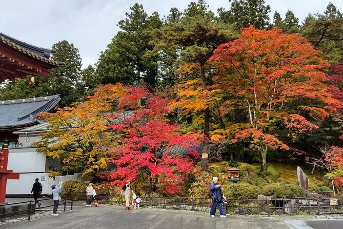 Nikko Toshogu and Kegon Waterfall with Certified Japanese Guide - Exploring Nikko Toshogu and Kegon Waterfall: A Balanced Look at an Authentic Day Trip