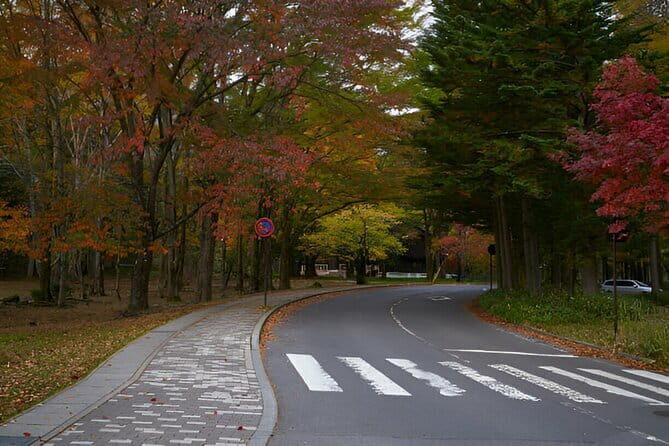 Nikko World Heritage Full Day Trip - What the Tour Offers: Value and Authenticity