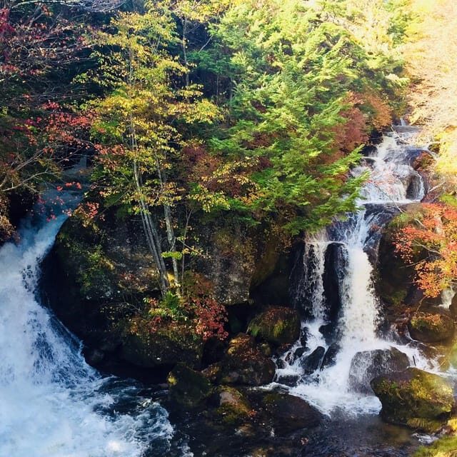 Nikko's Majestic Landscapes: Private Guided Tour - Frequently Asked Questions