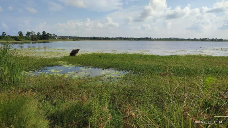 Nilaveli: Crocodile Lake with Lagoon Boat Safari - Key Points