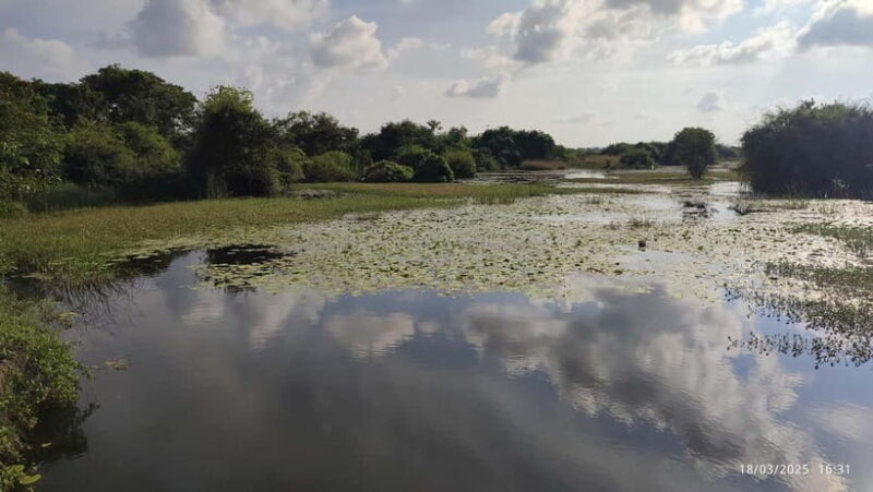Nilaveli: Crocodile Lake with Lagoon Boat Safari - An Honest Look at What to Expect