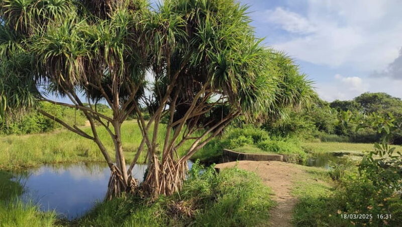 Nilaveli: Crocodile Lake with Lagoon Boat Safari - The Value for Money