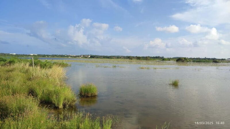 Nilaveli: Crocodile Lake with Lagoon Boat Safari - The Sum Up