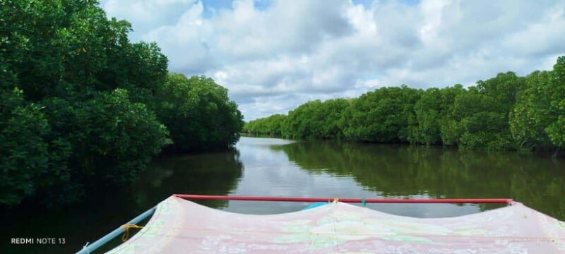 Nilaveli: Lagoon Boat Safari with Mangrove Exploration - Key Points