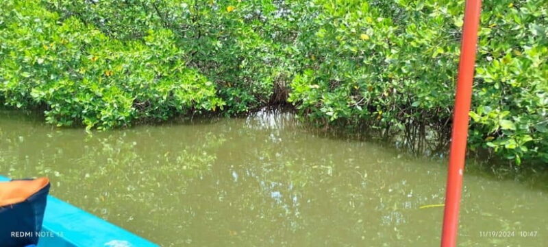Nilaveli: Lagoon Boat Safari with Mangrove Exploration - Practical Tips for Travelers
