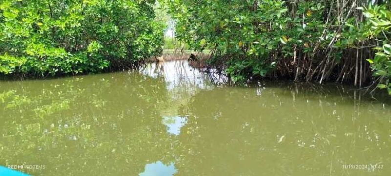 Nilaveli: Lagoon Boat Safari with Mangrove Exploration - Final Thoughts