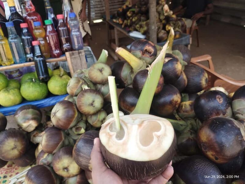 Nilaveli: Trinco City tour by Tuk Tuk - The Sum Up