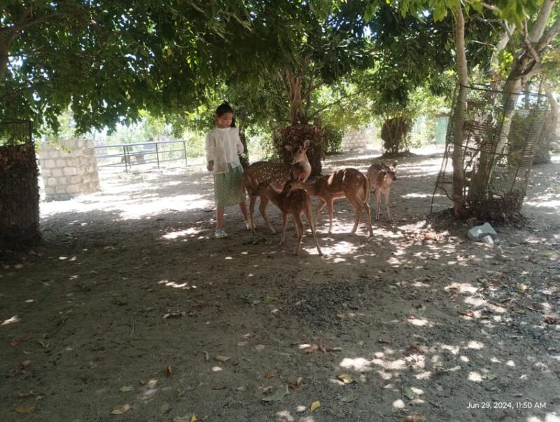 Nilaveli: Trinco City tour by Tuk Tuk - FAQs