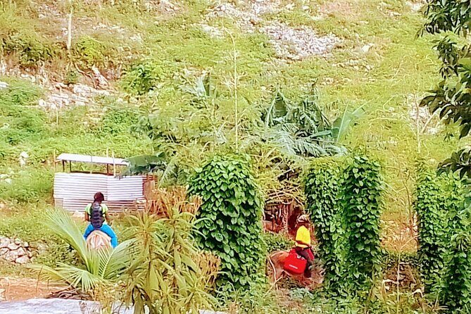 Nine Mile Ocho Rios Natural Attraction Tour - Exploring Nine Mile: A Closer Look