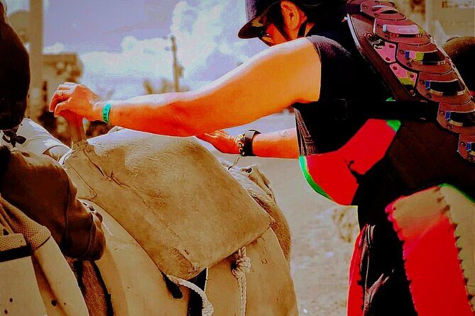 Nine Mile Ocho Rios Natural Attraction Tour - Who Should Consider This Tour?