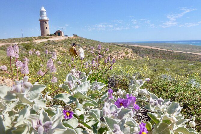Ningaloo In A Full day Hike and Snorkel Tour - Authentic Experiences and Authentic Insights