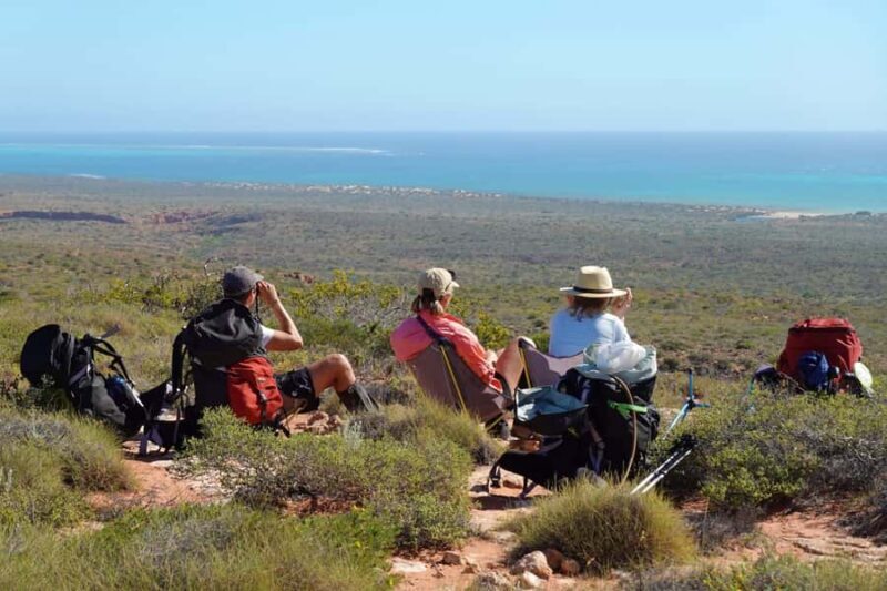 Ningaloo: Private Wilderness Charter with Local Guide - An Honest Look at the Experience