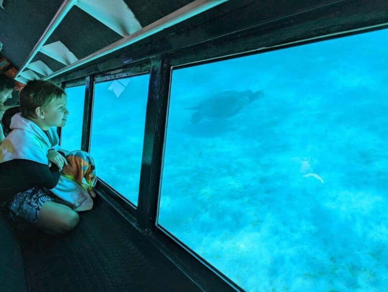 Ningaloo: Snorkelling & Coral Viewing Semi Submersible Tour - Experiences from Travelers