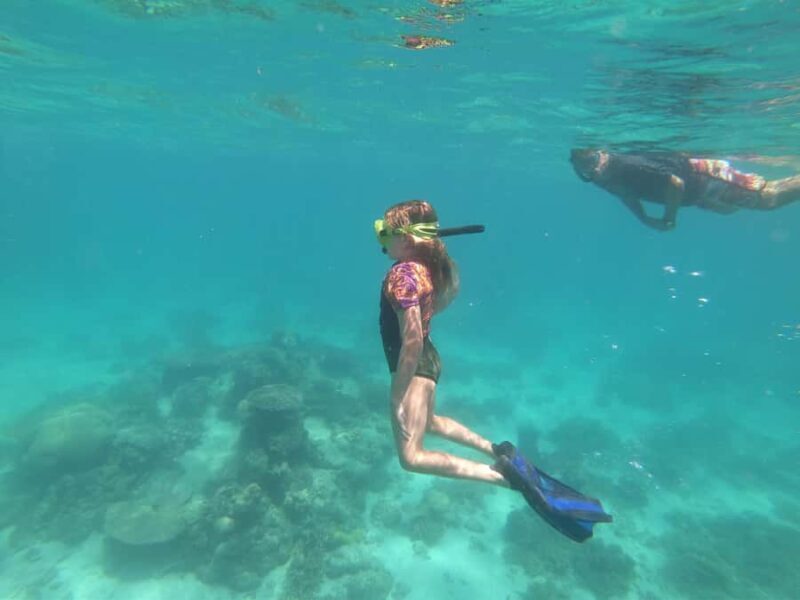 Ningaloo: Snorkelling & Coral Viewing Semi Submersible Tour - FAQs