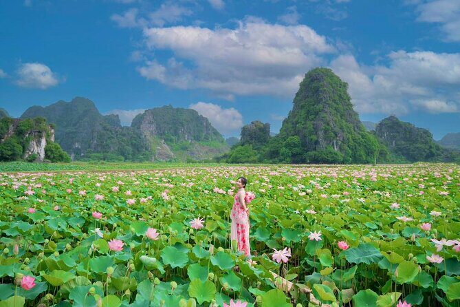 Ninh Binh 1 Day: Hoa Lu & Trang An & Mua Cave - An In-Depth Look at What This Tour Offers