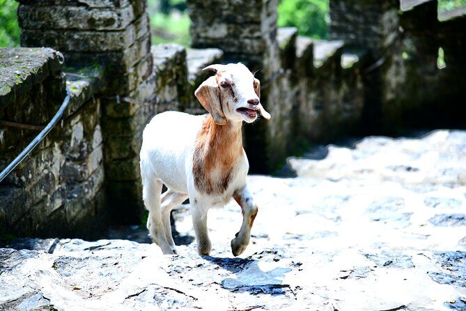 Ninh Binh 2 days 1 night Tour from Hanoi (Small Group of 9) - FAQ