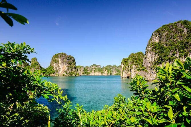 Ninh Binh and Bai Tu Long Bay 2 Days 1 Night Tour - Who Will Love This Tour?