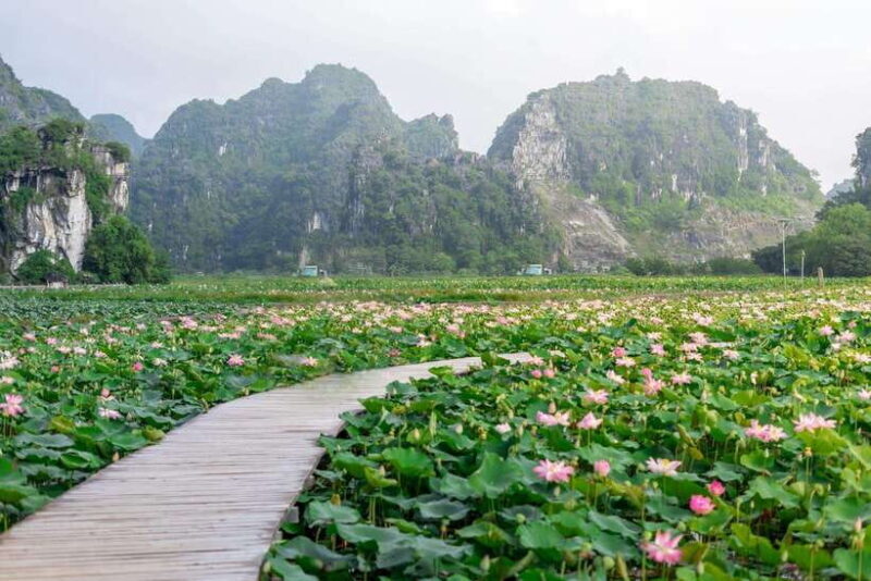 Ninh Binh : Bai Dinh Pagoda, Trang An, and Mua Cave Tour - FAQ