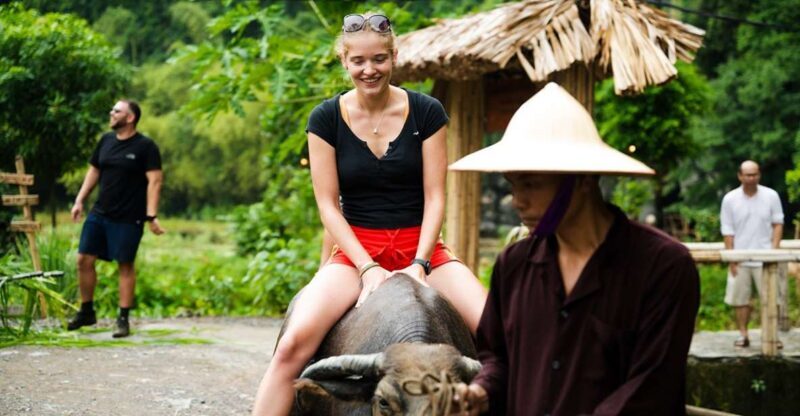 Ninh Binh: Buffalo riding, rice planting group tour - Discovering Rural Vietnam in Four Hours
