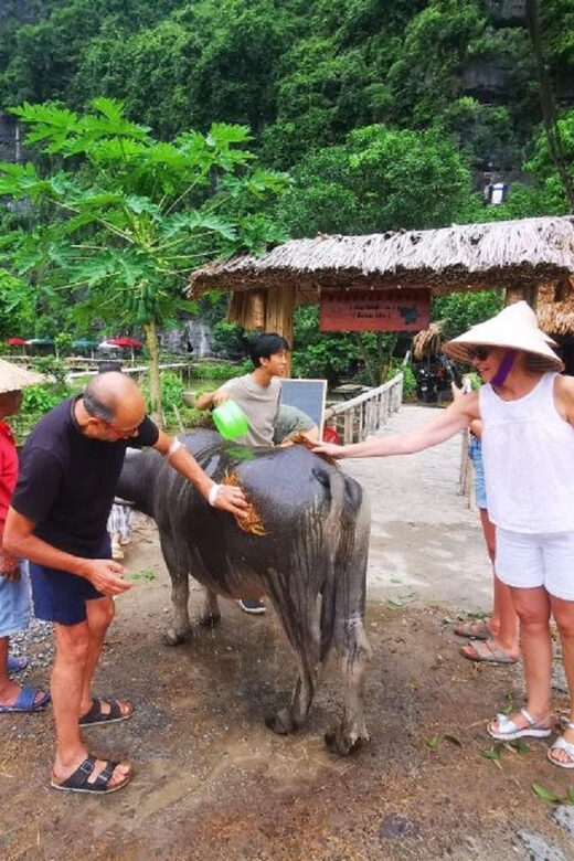Ninh Binh : Countryside Tour by Motorcycle - Buffalow Riding - An In-Depth Look at the Experience