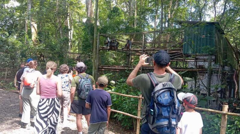 Ninh Binh: Cuc Phuong Jungle Hike & Wildlife Day Tours - How This Tour Balances Value and Experience