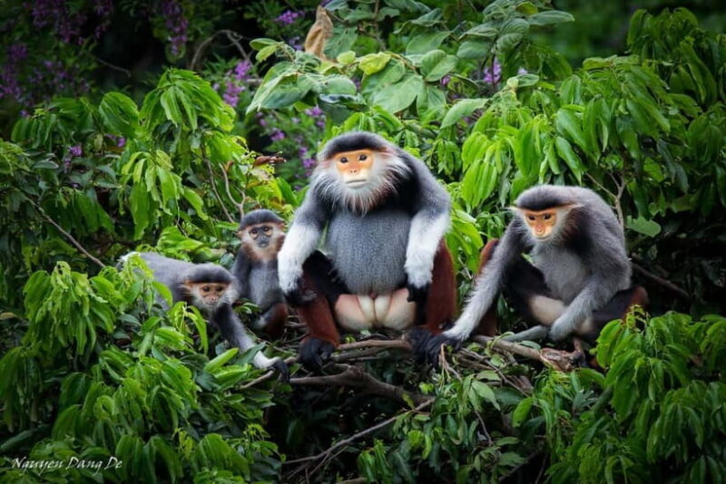 Ninh Binh: Cuc Phuong Jungle Hike & Wildlife Day Trip - Who Should Consider This Tour?