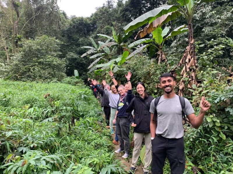 Ninh Binh: Cuc Phuong Jungle Hike & Wildlife Day Trip - Frequently Asked Questions
