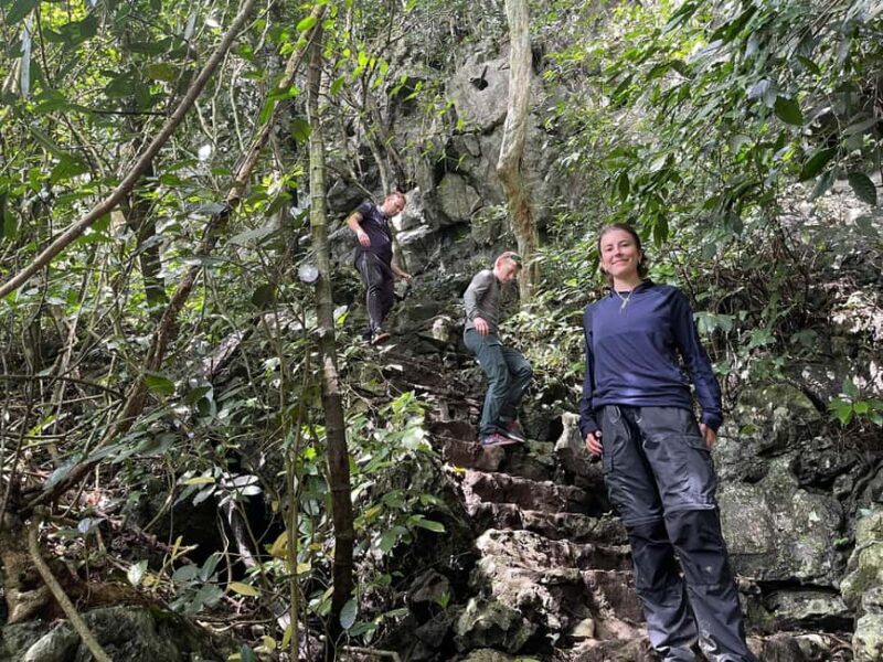 Ninh Binh: Cuc Phuong Jungle Trek, Wildlife & Ancient Caves - Authentic Experiences & Genuine Highlights