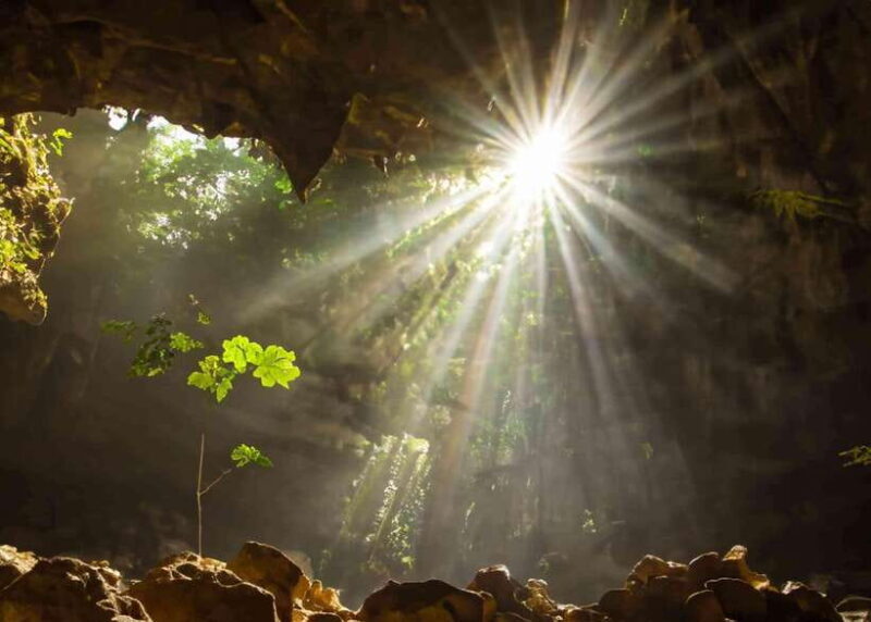 Ninh Binh: Cuc Phuong National Park Day Trip with Lunch - An In-Depth Look at the Experience