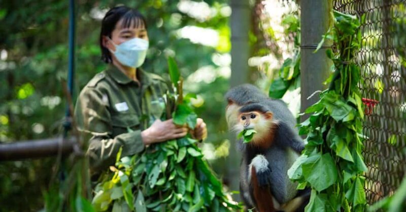 Ninh Binh: Cuc Phuong National Park, Jungle Hike & Wildlife - Who Should Sign Up?