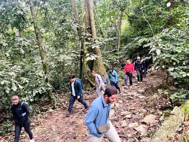 Ninh Binh: Cuc Phuong National Park, Jungle Hike & Wildlife - Frequently Asked Questions