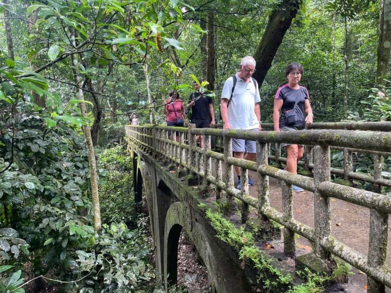 Ninh Binh: CUC PHUONG Park Jungle Hike Day Tour, SMALL GROUP - A Detailed Look at the Tour Experience