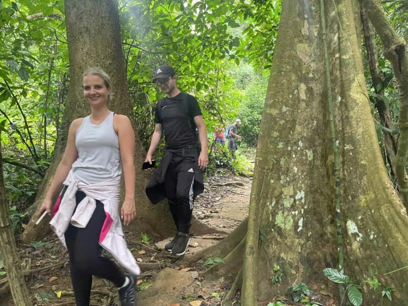 Ninh Binh: CUC PHUONG Park Jungle Hike Day Tour, SMALL GROUP - Who Is This Tour Best For?