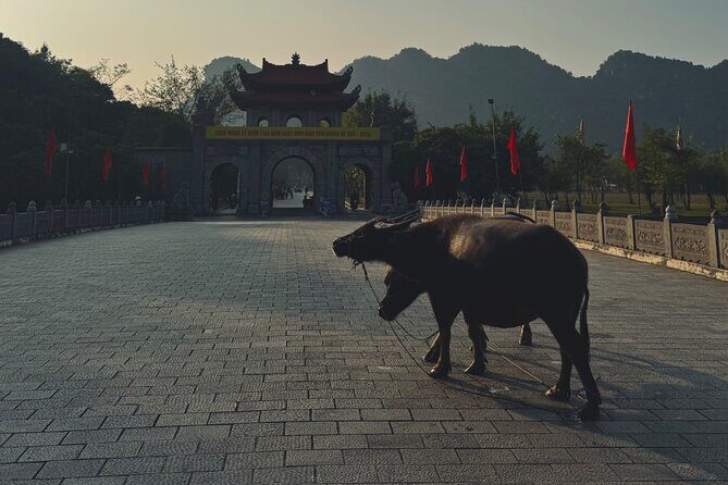 Ninh Binh Day Escape from Hanoi: Local Life, Connection & Tales - Key Points