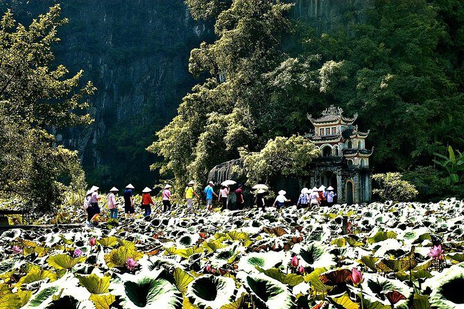 Ninh Binh Day Tour Small Group - Luxury Transfer - Real Traveler Insights & Tips