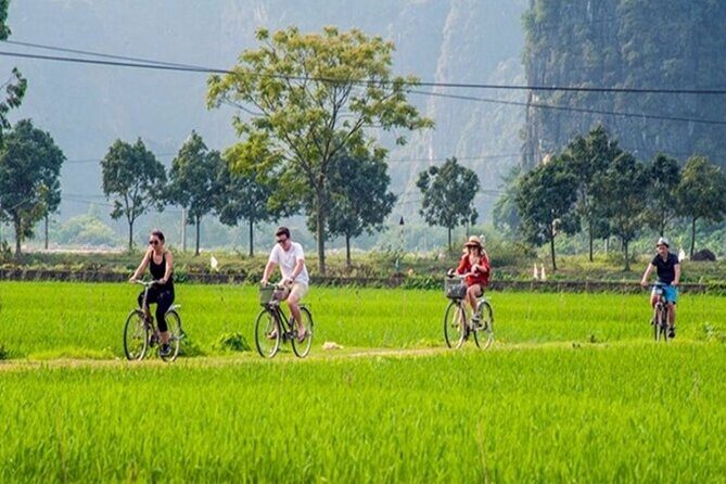 Ninh Binh Day Tour to Hoa Lu Trang An Mua Cave with Buffet Lunch - Practical Tips and Recommendations