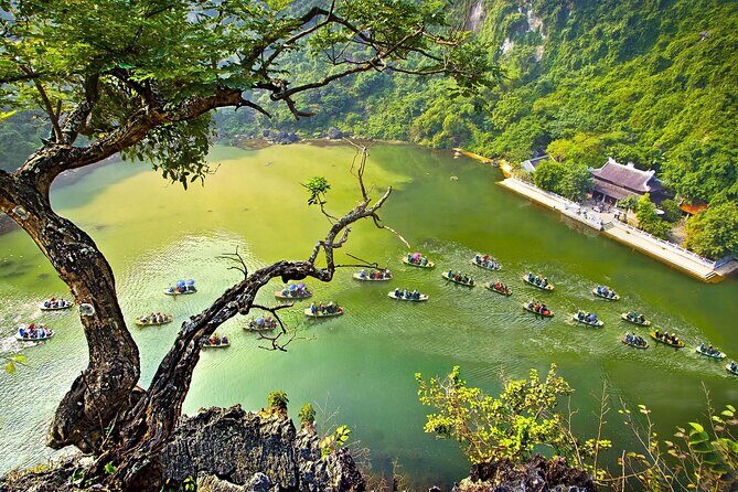 Ninh Binh Day Tour To Visit Hoa Lu - Trang An/Tam Coc - Mua Cave - The Lunch Break: Vietnamese Cuisine at Its Best