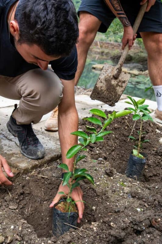 Ninh Binh: Dundj Valley Tree Planting & Nature Experience - The Sum Up