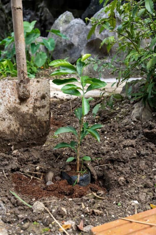 Ninh Binh: Dundj Valley Tree Planting & Nature Experience - FAQ