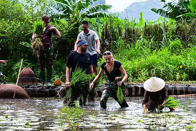Ninh Binh eco group tour - Buffalo riding, rice planting, fishing - Practical Details and Tips