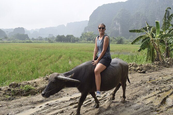 Ninh Binh eco group tour - Buffalo riding, rice planting, fishing - The Sum Up