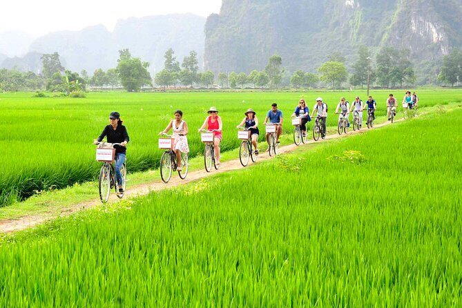 Ninh Binh full day-Hoa Lu temple & biking, Tam Coc boat trip, Dragon mountain - An Authentic Day in Ninh Binh: What to Expect